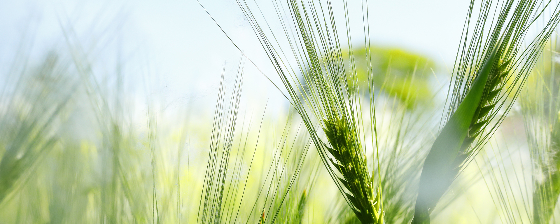 Sostenibilità | Nordson Packaging