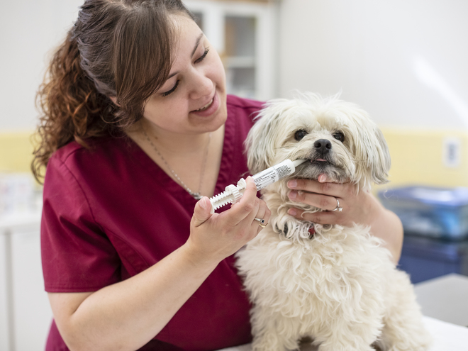 Dial-A-Dose Industrial Syringes | Syringe Barrel | Nordson EFD